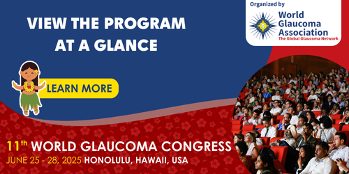 Program at a Glance | WGC 2025